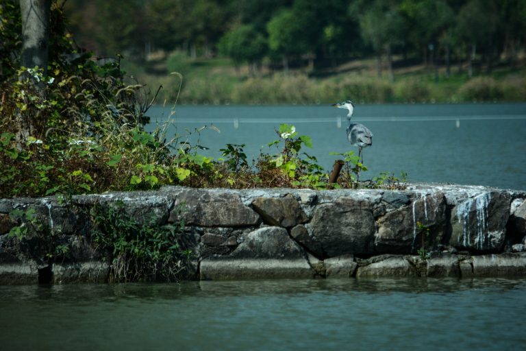 Xiaoshan District: An Emerald Alternative to West Lake | SupCZ